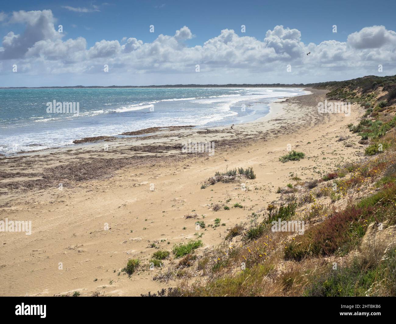 Beach on the Great Australian Bight, Sceale Bay, Eyre Peninsula Stock ...