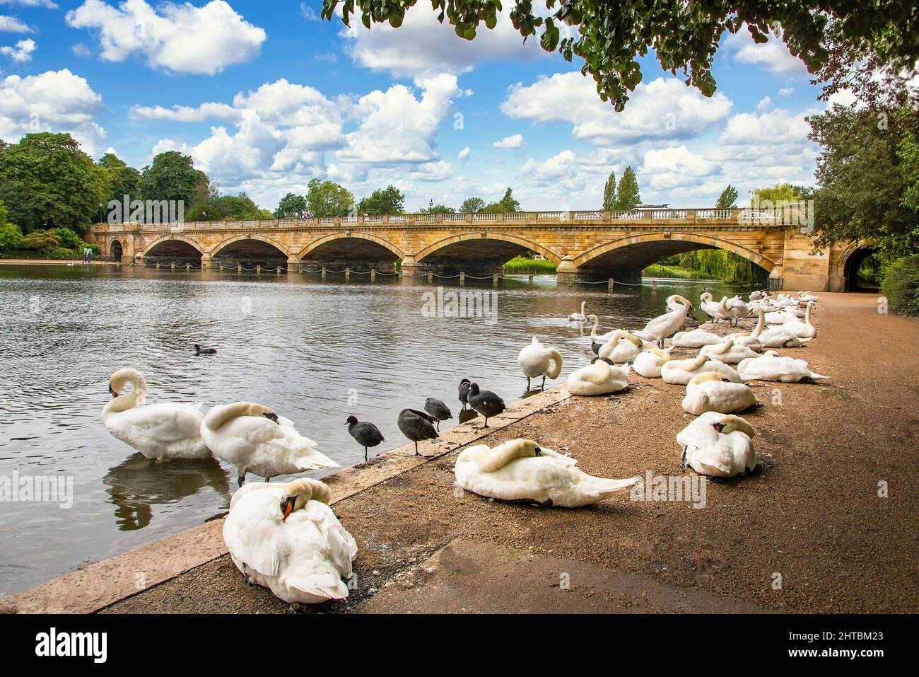 London serpentine river hi-res stock photography and images - Alamy