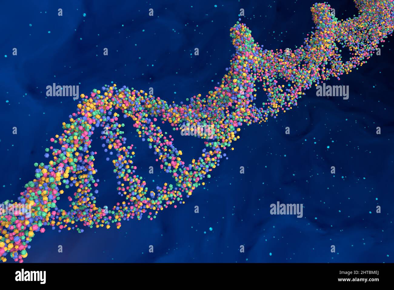 ACGT nucleotides in the human genome (DNA molecule - double helix ...