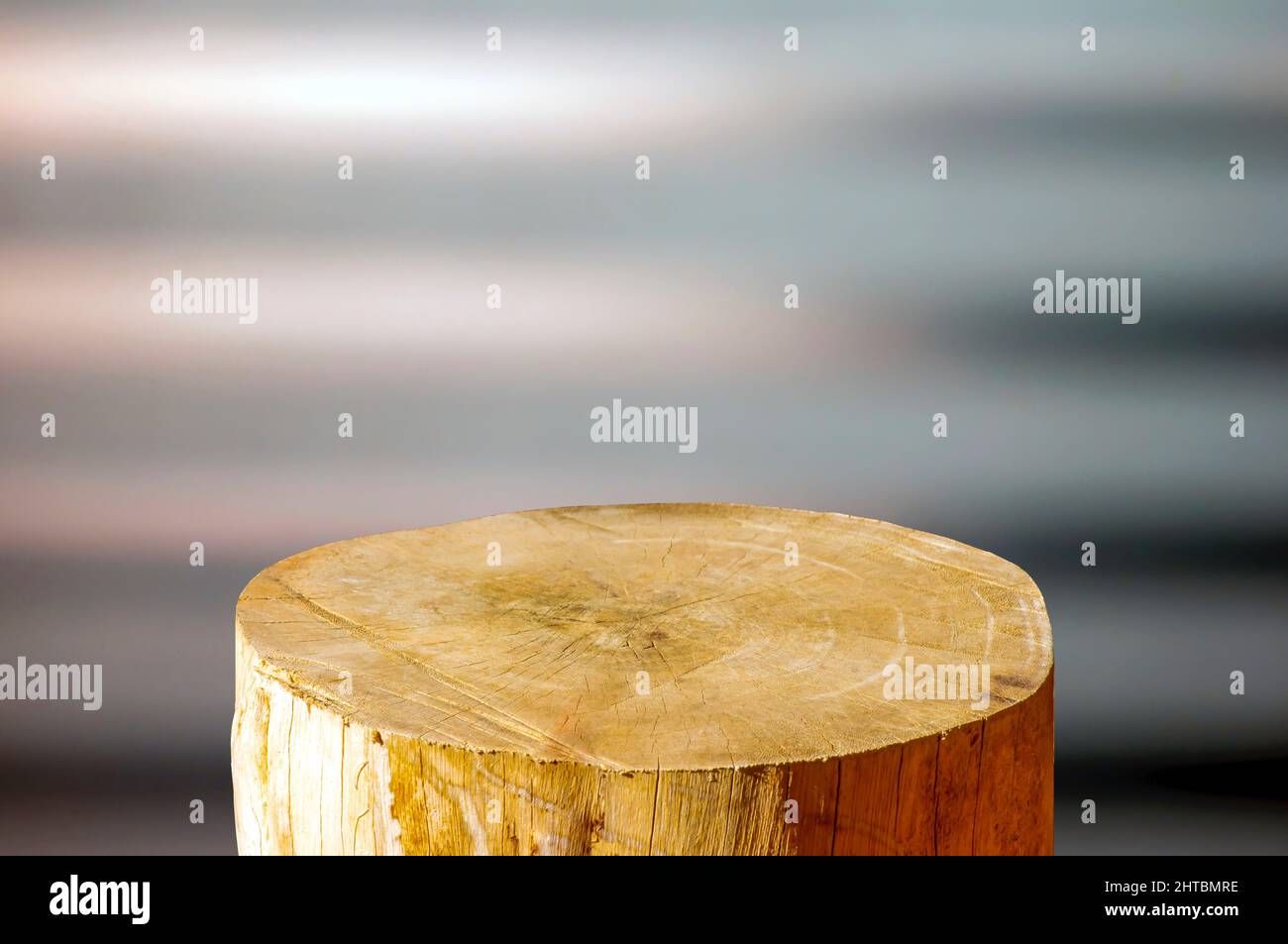 Round wooden saw cut cylinder shape for product display with soft brown ...