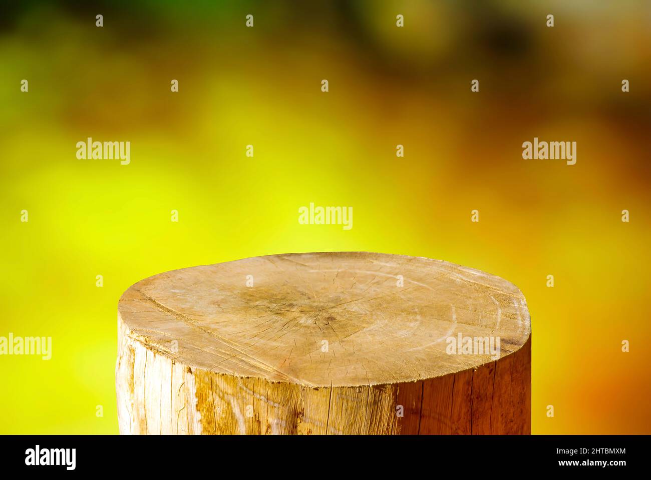 Round wooden saw cut cylinder shape for product display with yellow ...