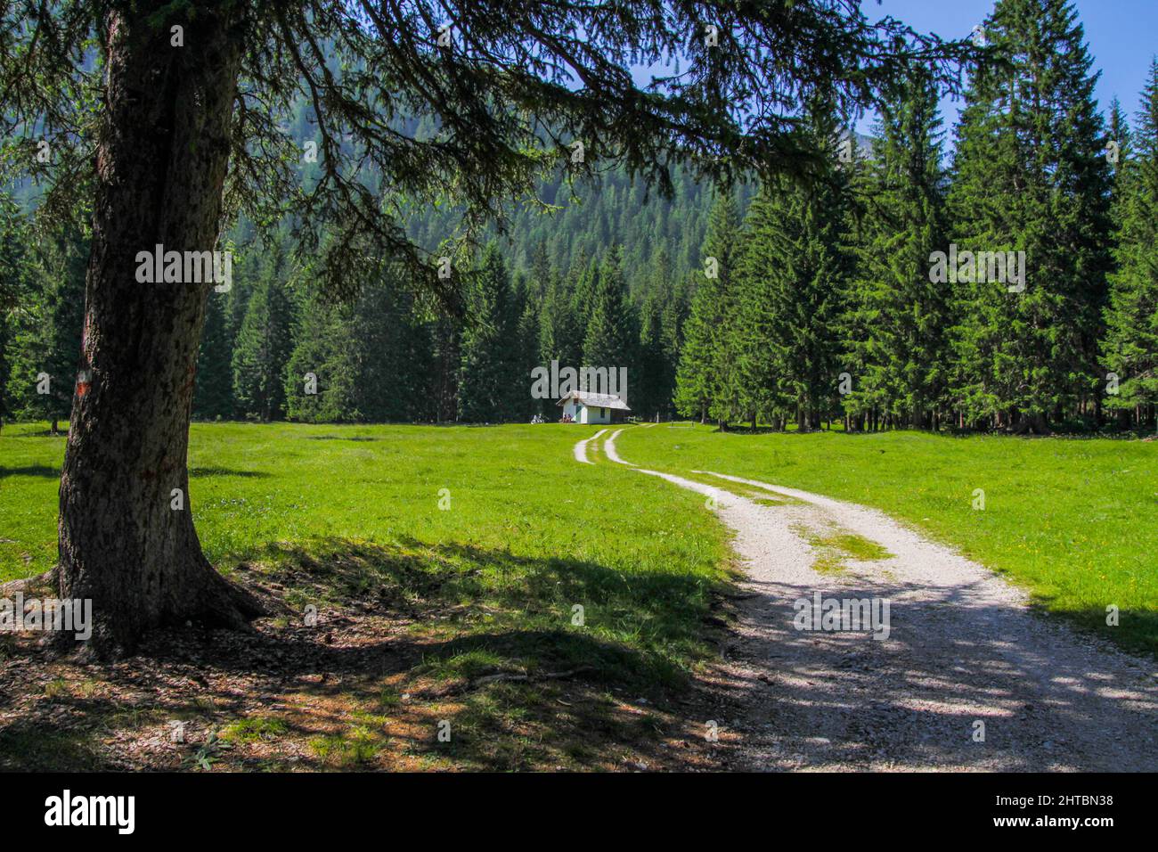Landscape of a pathway in the middle of a field leading to a cabin ...