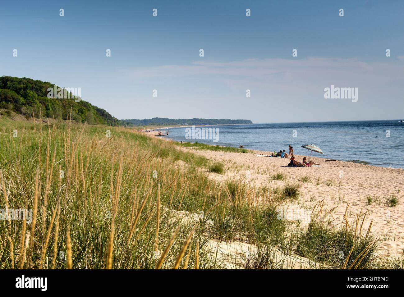 Landscape of a beach surrounded by greenery and the ocean in Saugatuck ...