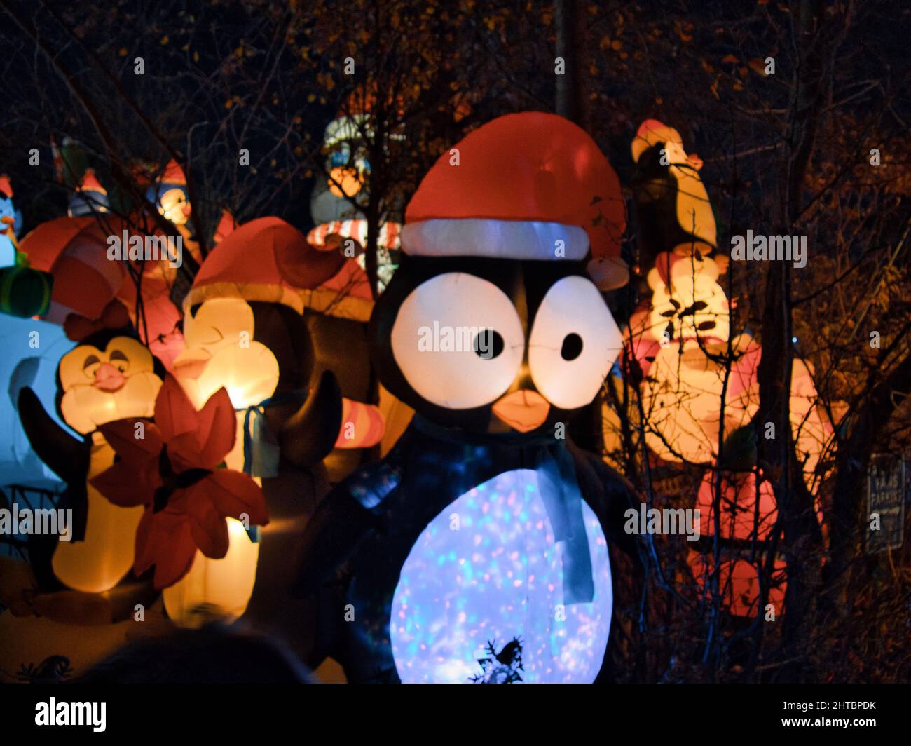 Closeup of a penguin inflatable at the Paulie's Penguin Playground ...