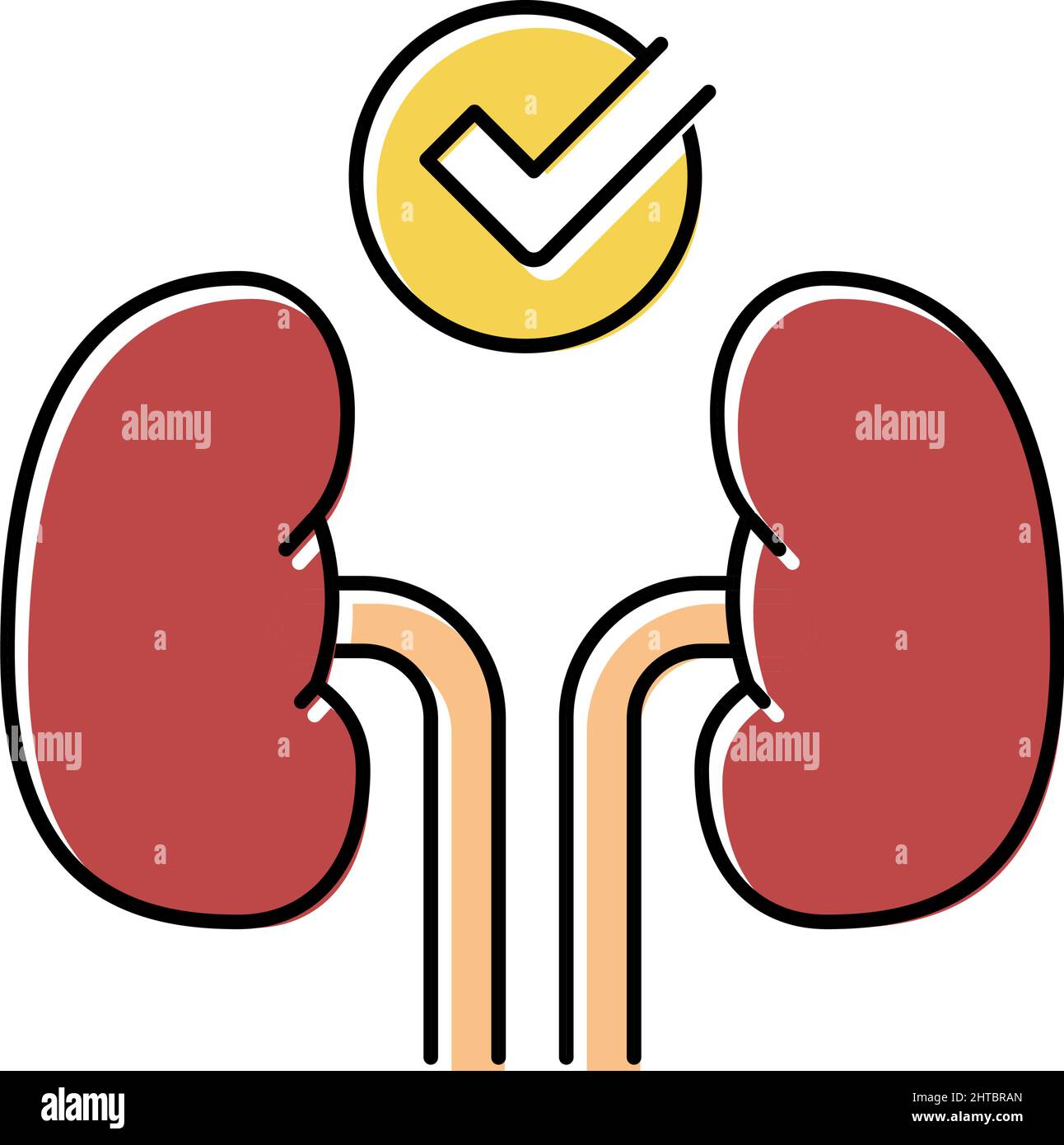 healthy kidneys color icon vector illustration Stock Vector Image & Art ...