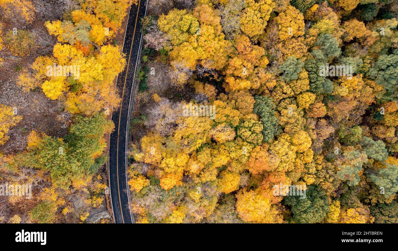 Bird's eye view of the lush autumnal greenery in Cornwall-on-Hudson ...