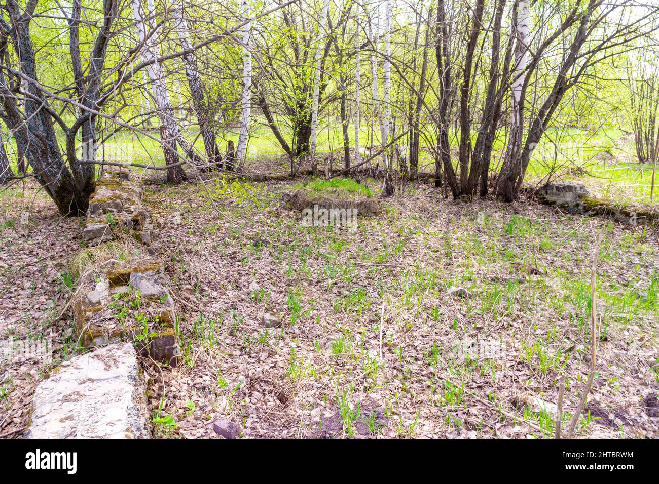 the remains of an old structure overgrown with forest and grass - the ...