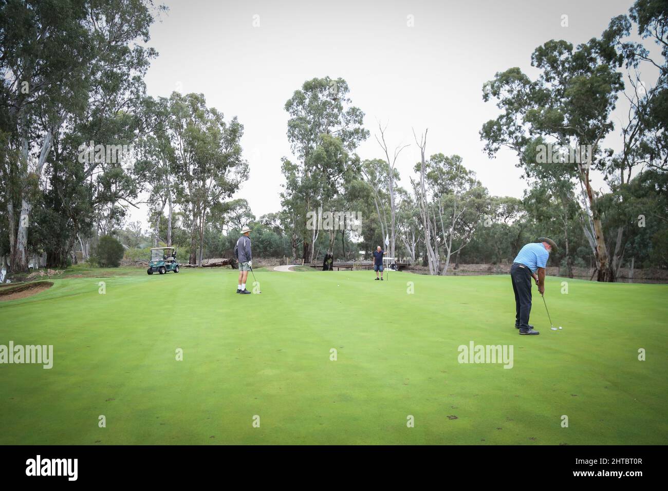 Group of men playing golf Stock Photo - Alamy
