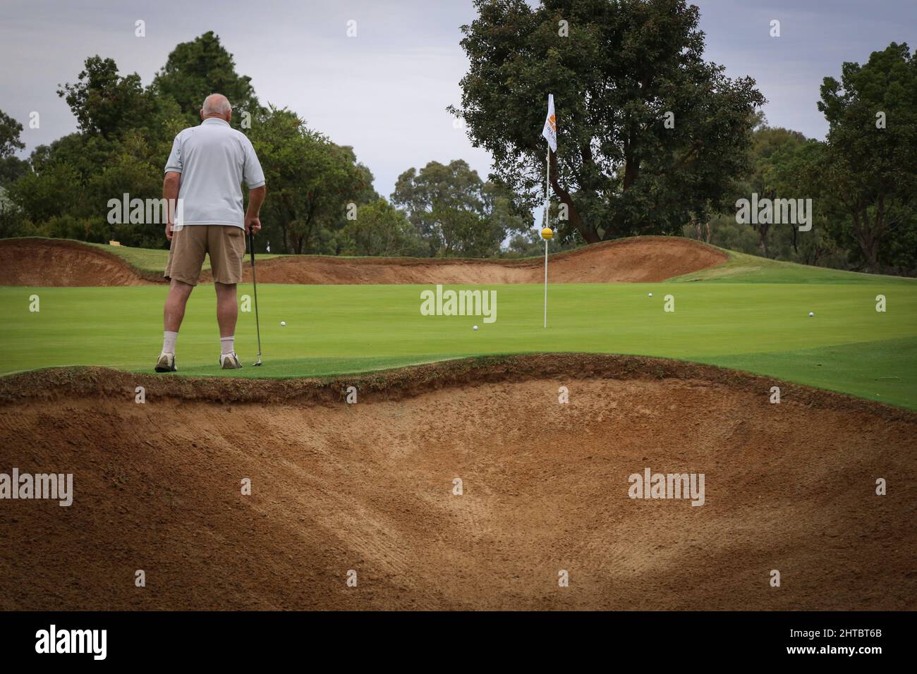 Back view of a man playing golf Stock Photo - Alamy