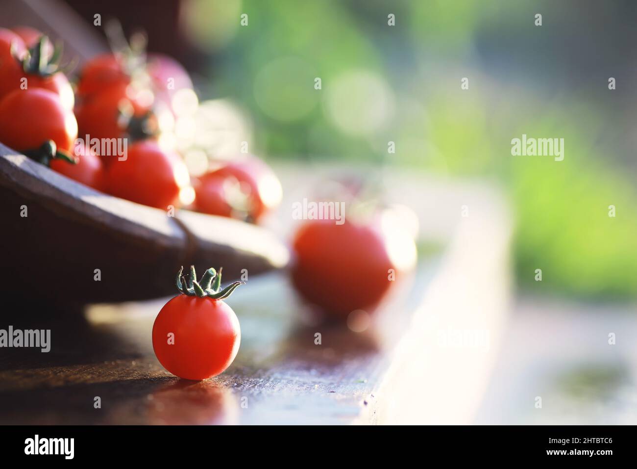 Ecological fresh farm cherry tomatoes on wooden background Stock Photo ...