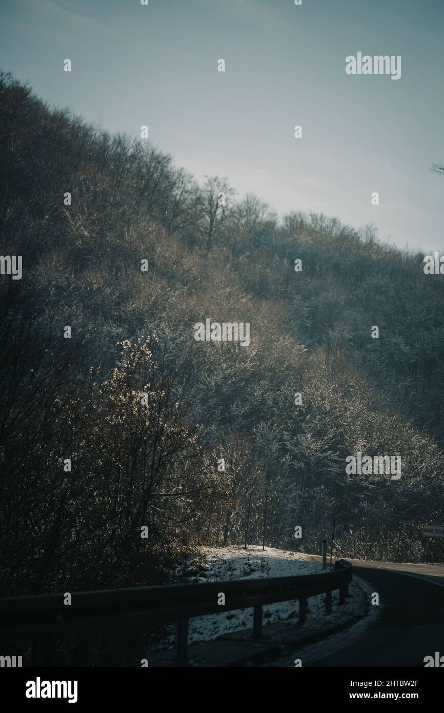 Vertical shot field trees hi-res stock photography and images - Alamy