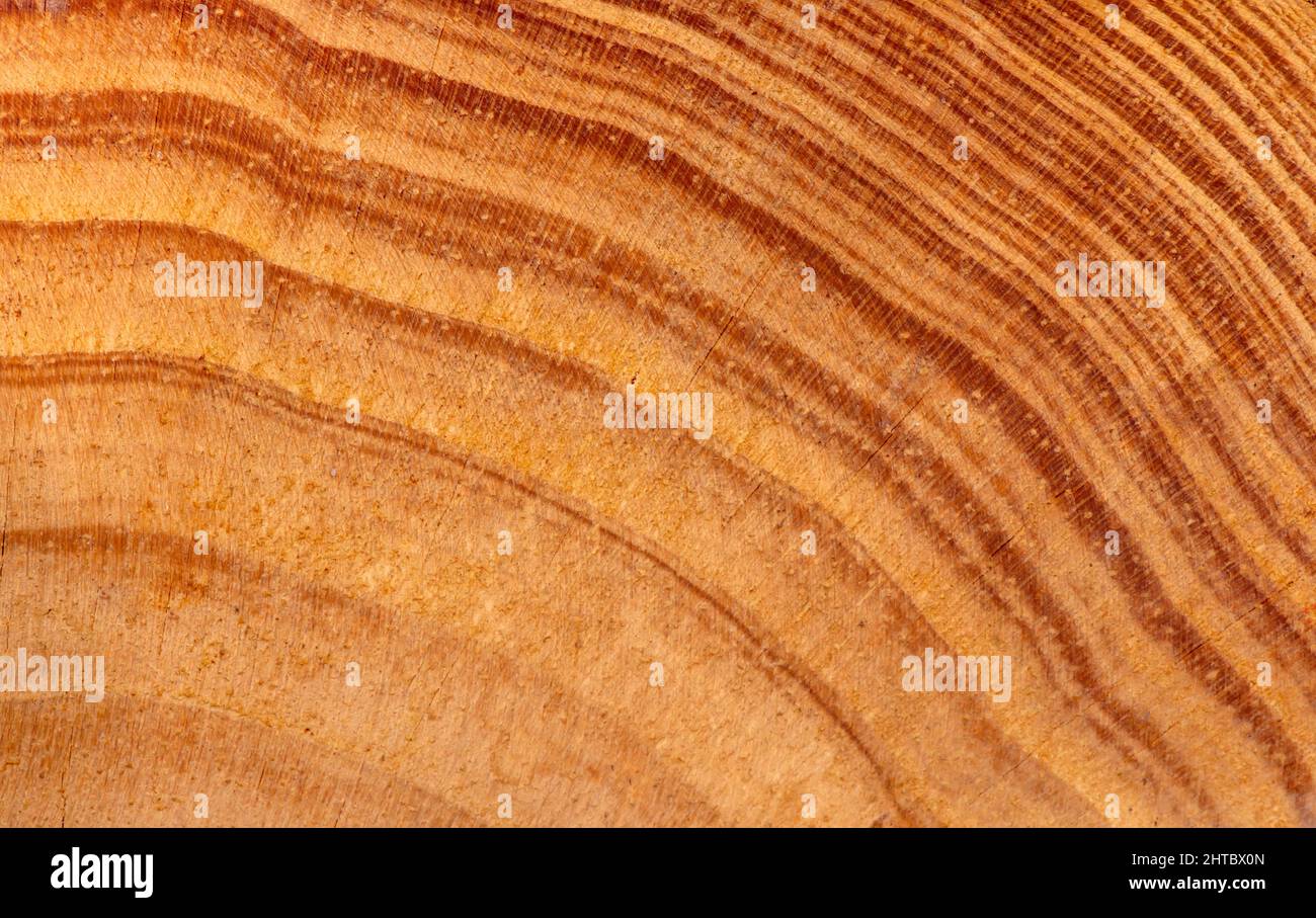 Nature pattern of teak wood texture for background Stock Photo - Alamy
