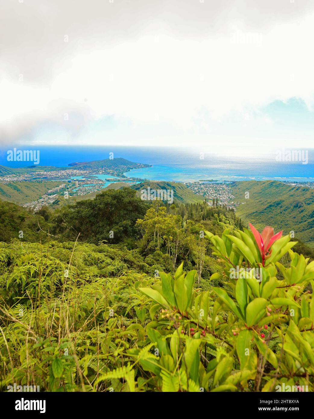 Scenic view of the town and the Pacific Ocean from the Kuliouou Ridge ...
