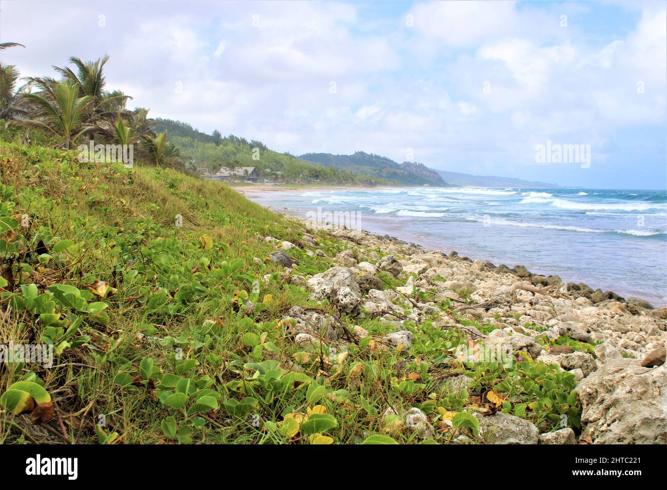 Beach landscape in Barbados during the daytime Stock Photo - Alamy