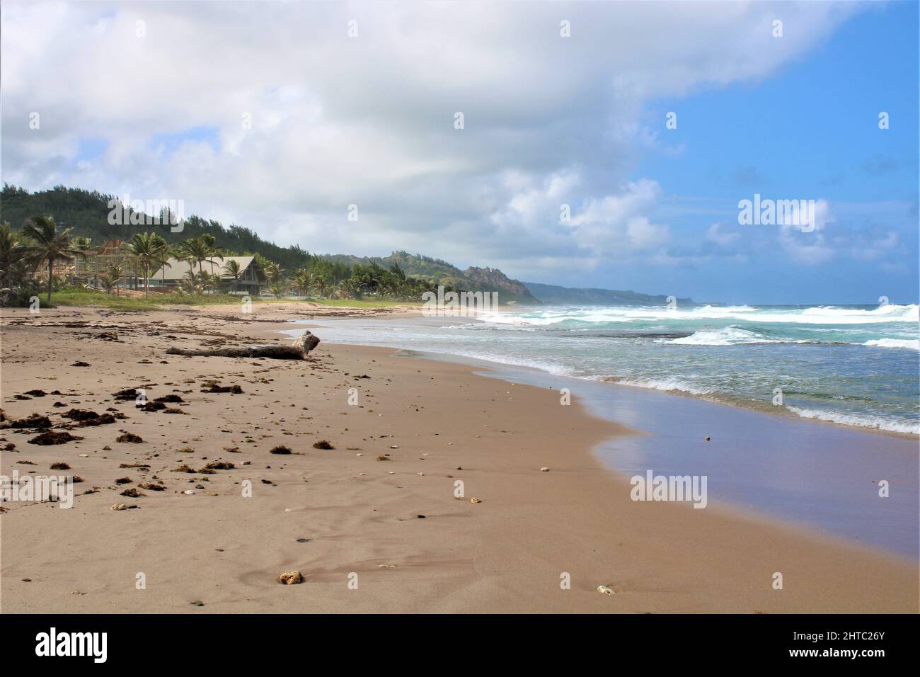 Beach landscape in Barbados during the daytime Stock Photo - Alamy