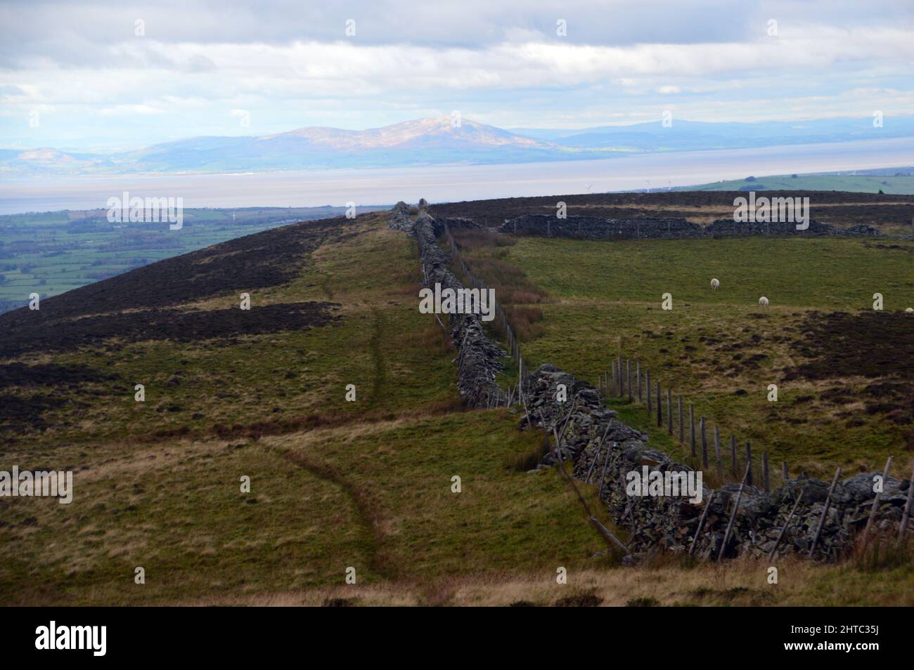 The Solway Firth & 'Criffel' in Scotland from the Dry Stone Wall on the ...