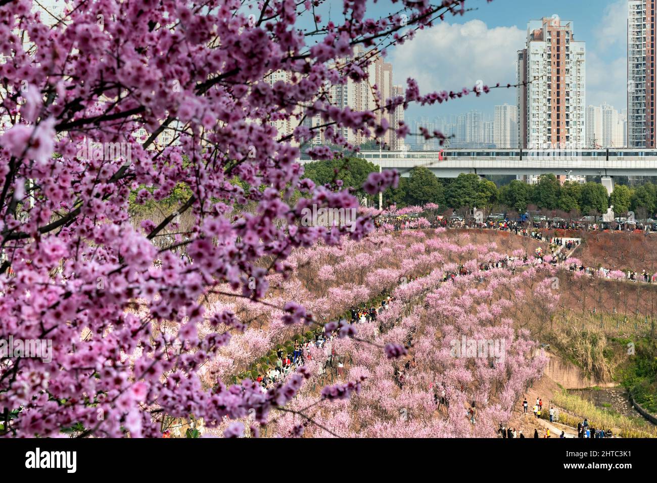 Chongqing, Chongqing, China. 28th Feb, 2022. On February 27, 2022, the ...