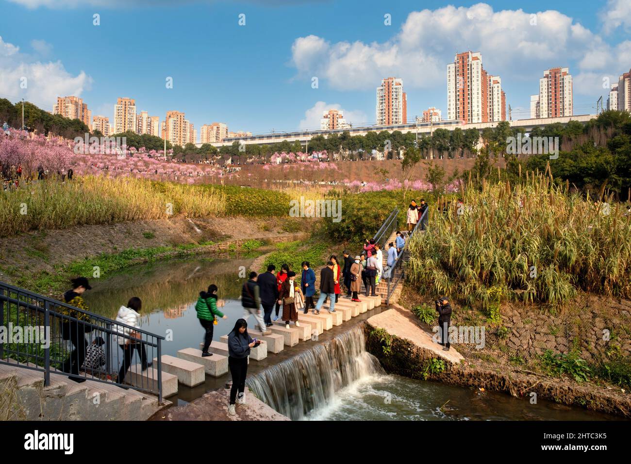 Chongqing, Chongqing, China. 28th Feb, 2022. On February 27, 2022, the ...