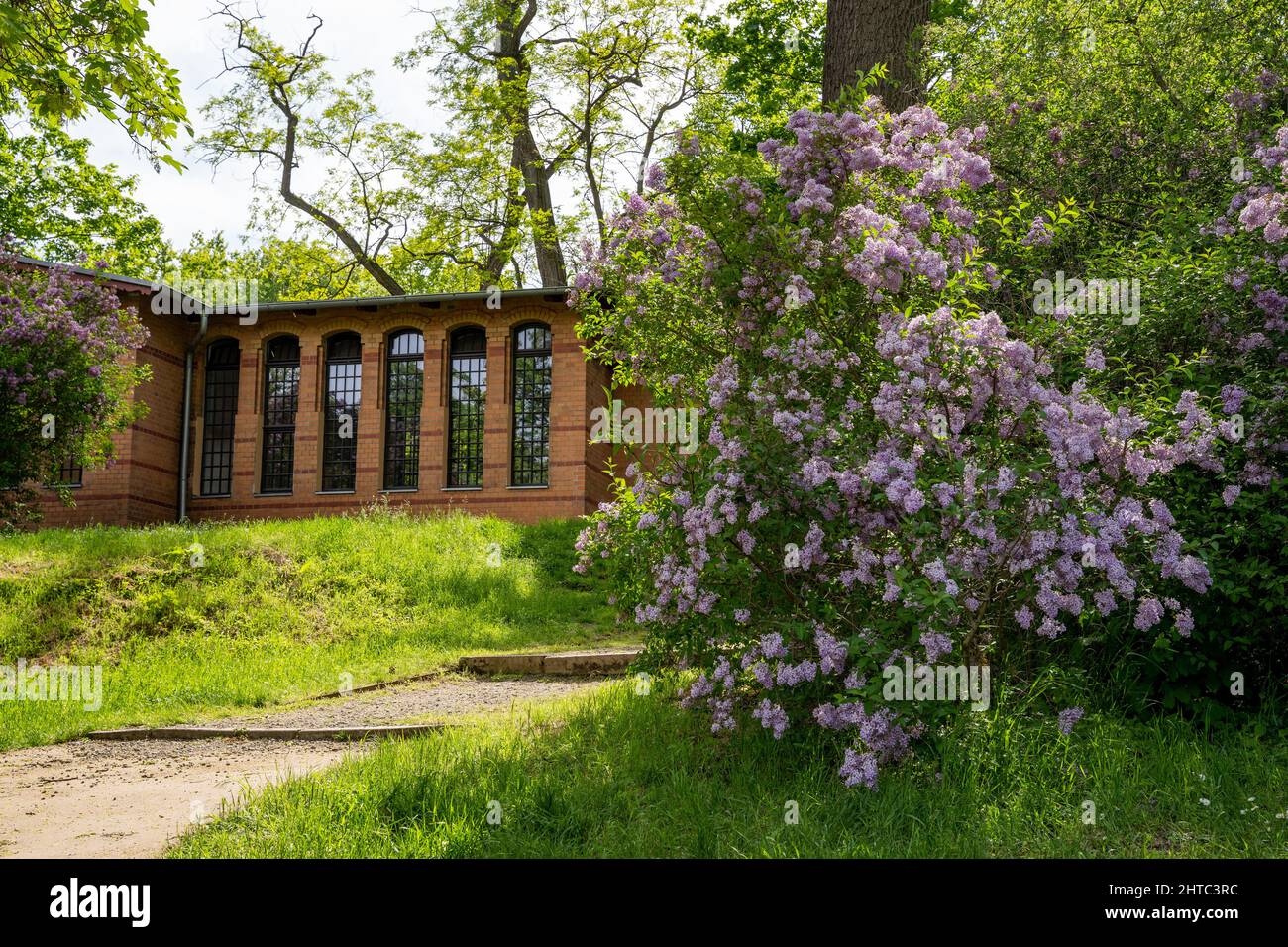 Beautiful view of a park Klosterbergegarten, Magdeburg, Germany Stock ...