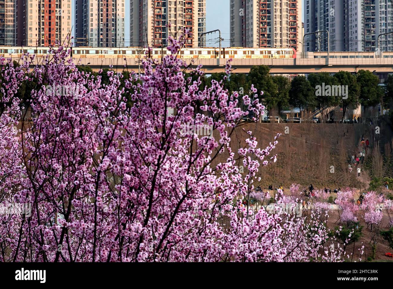 Chongqing, Chongqing, China. 28th Feb, 2022. On February 27, 2022, the ...