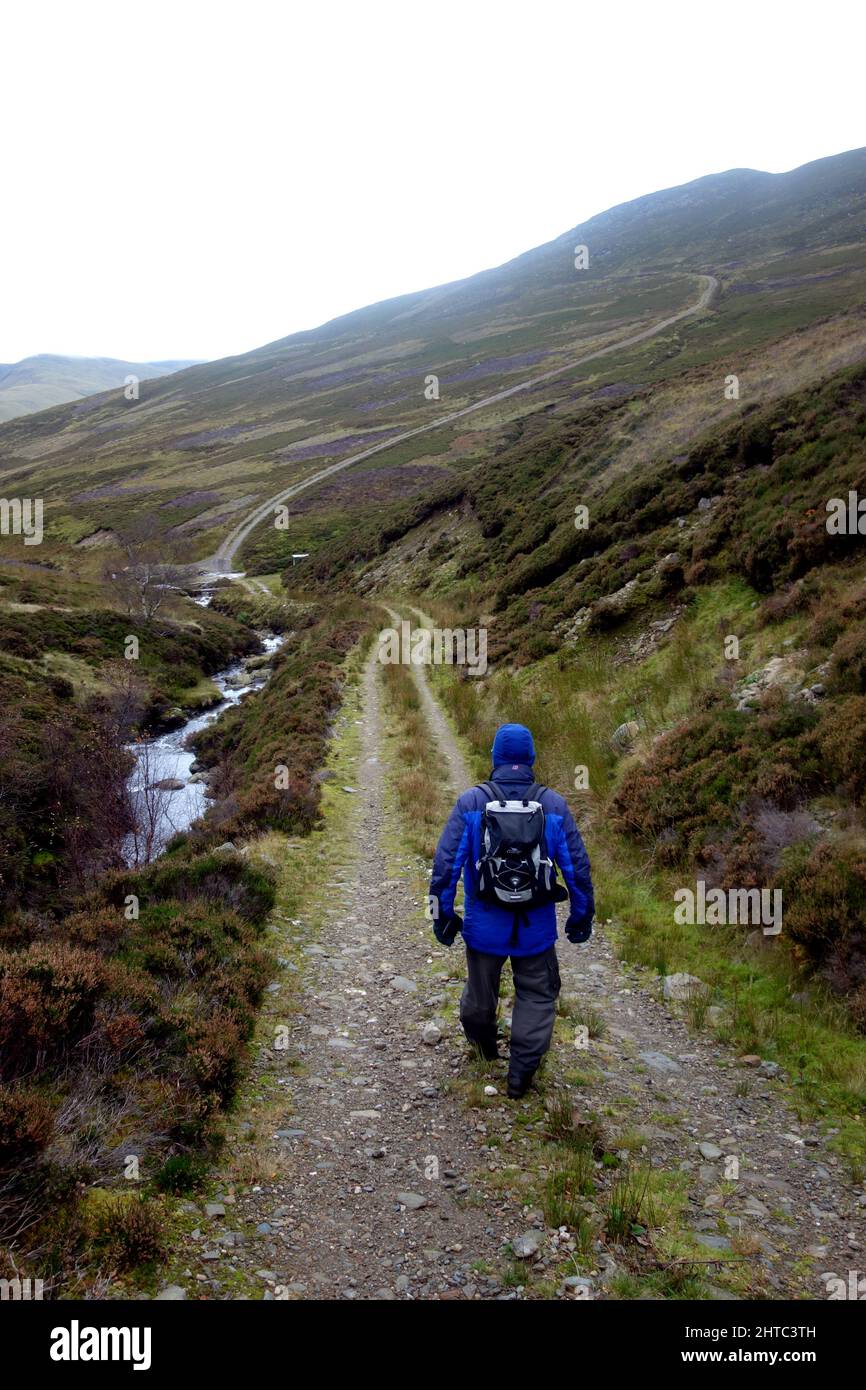 Henzie hi-res stock photography and images - Alamy