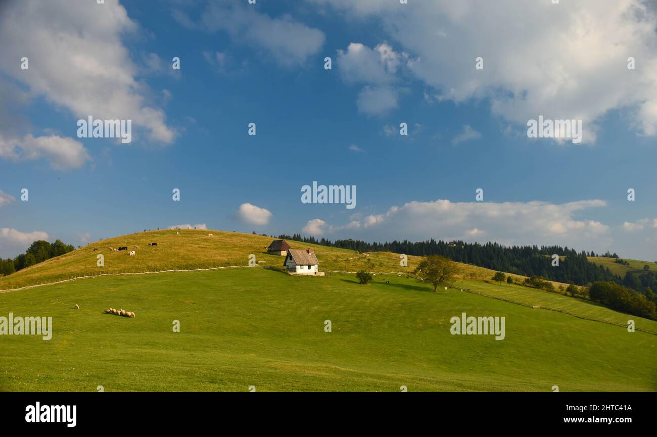 Beautiful view of a landscape under a cloudy sky in Bukovik mountains ...