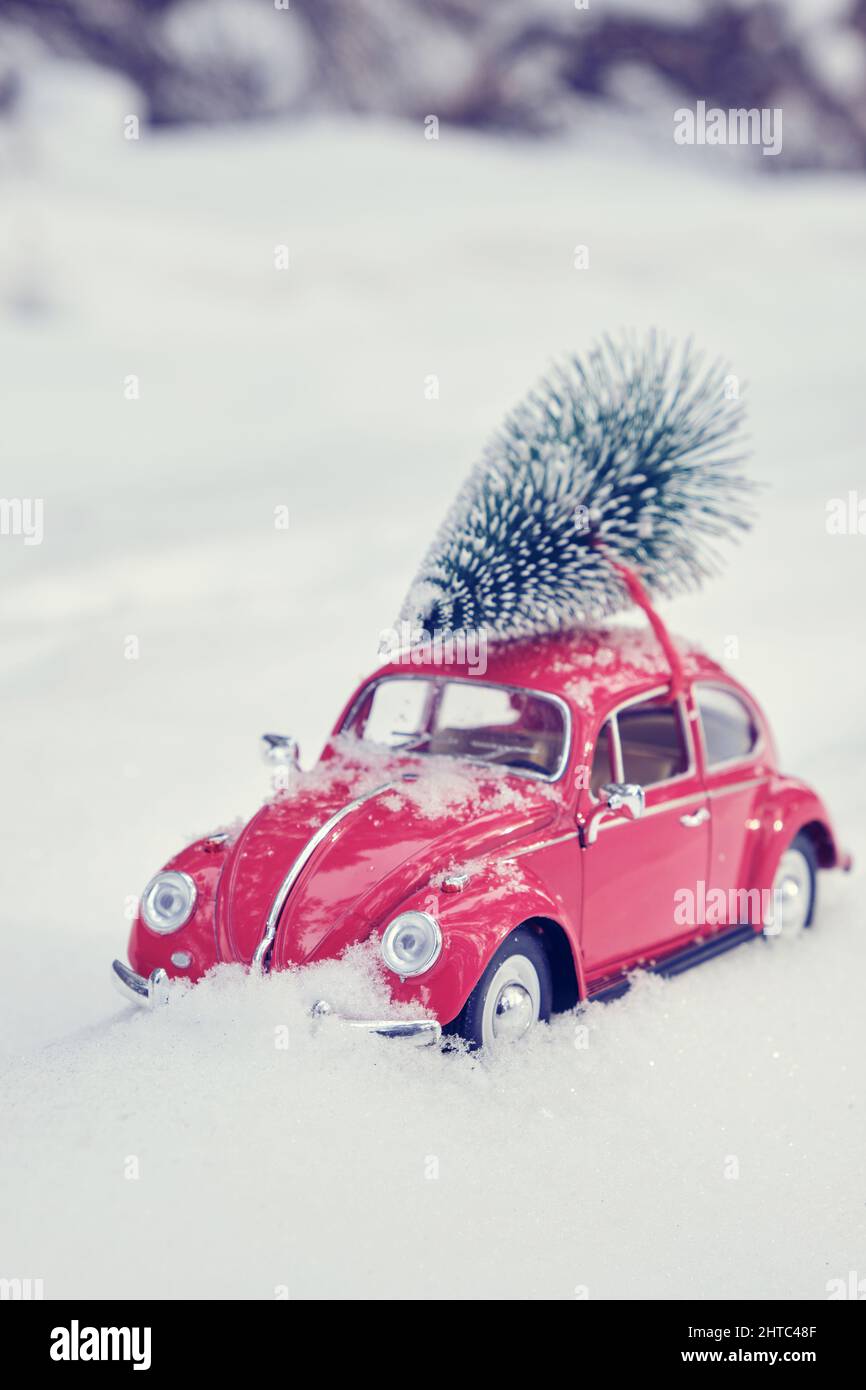 Kostanay, Kazakhstan 2022.Red Volkswagen beetle with spruce on roof ...