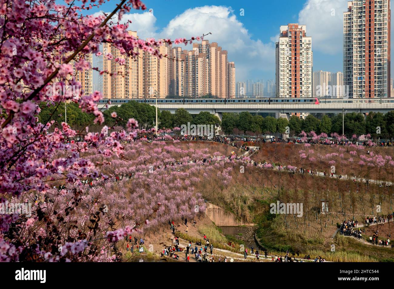 Chongqing, Chongqing, China. 28th Feb, 2022. On February 27, 2022, the ...