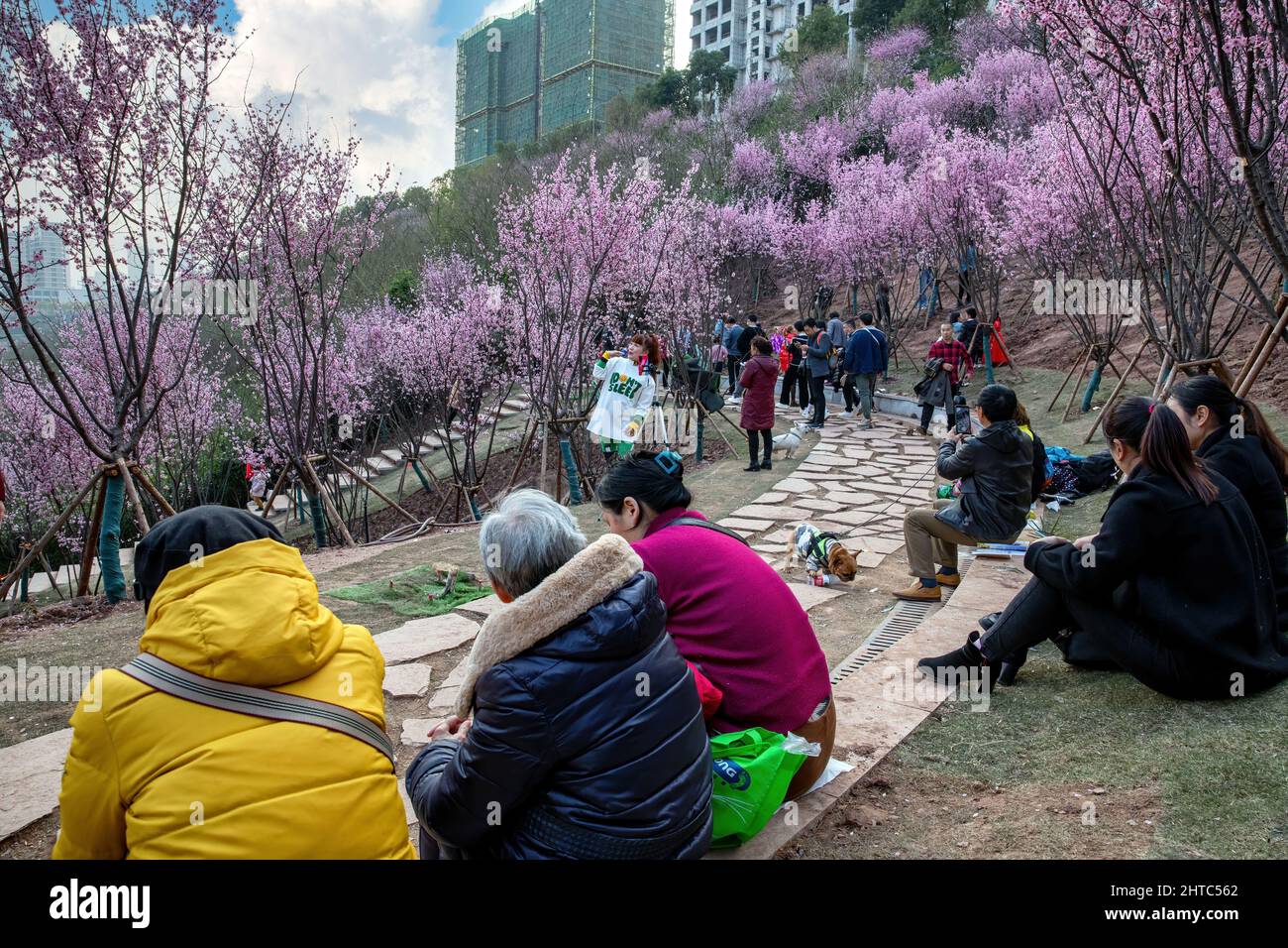 Chongqing, Chongqing, China. 28th Feb, 2022. On February 27, 2022, the ...