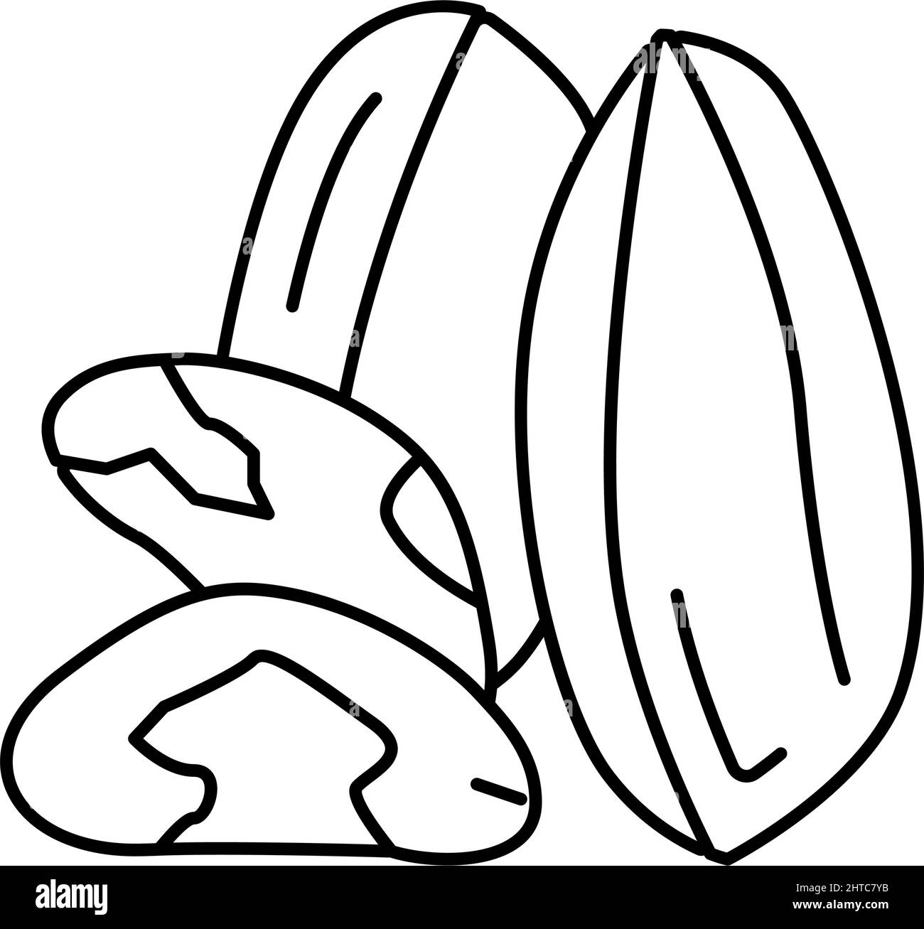 brazil nut line icon vector illustration Stock Vector Image & Art - Alamy