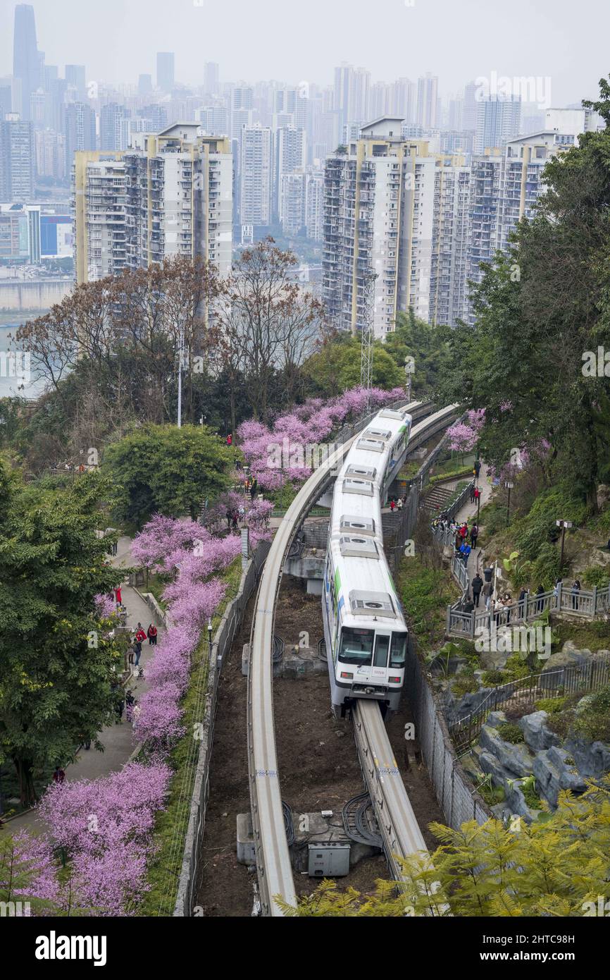 Chongqing, Chongqing, China. 28th Feb, 2022. On February 25, 2022, a ...