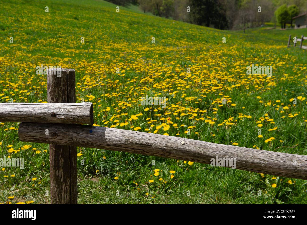 Italy, Lombardy, Province of Lecco, Belvedere of the Valentino park at ...