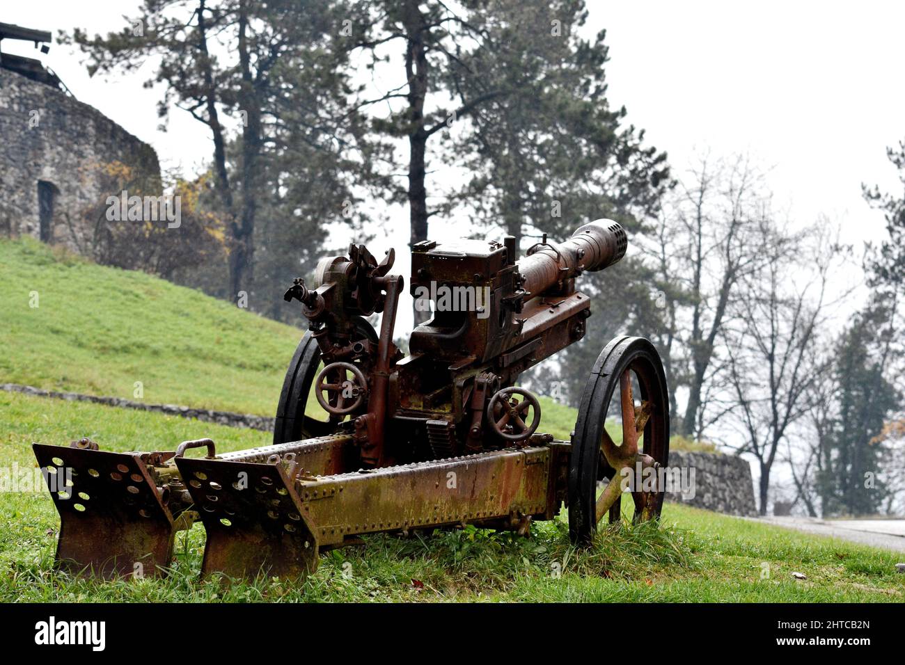 Wooden cannon in the forest surrounded by trees Stock Photo - Alamy