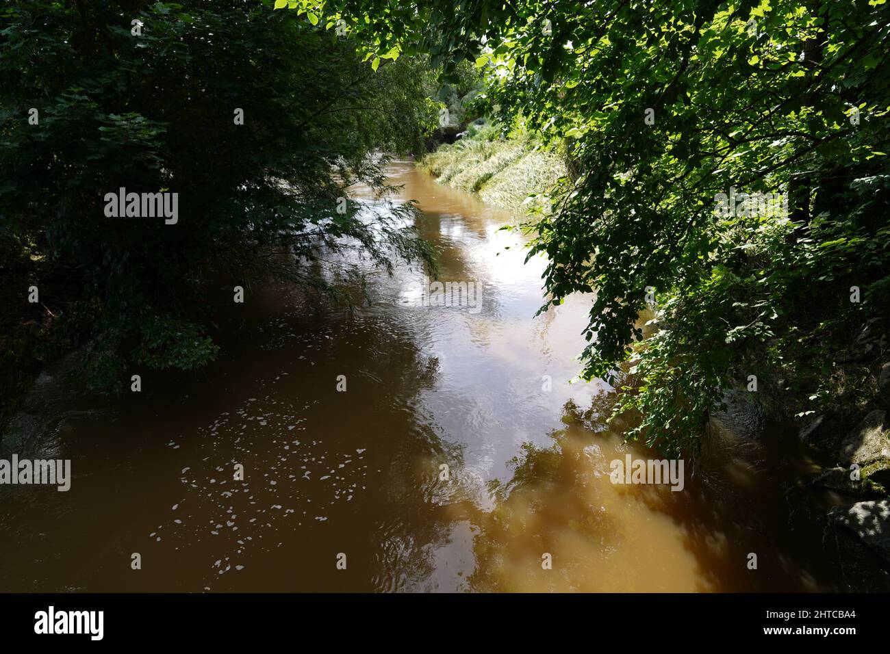 Closeup of dirty river water that passes through a forest Stock Photo ...