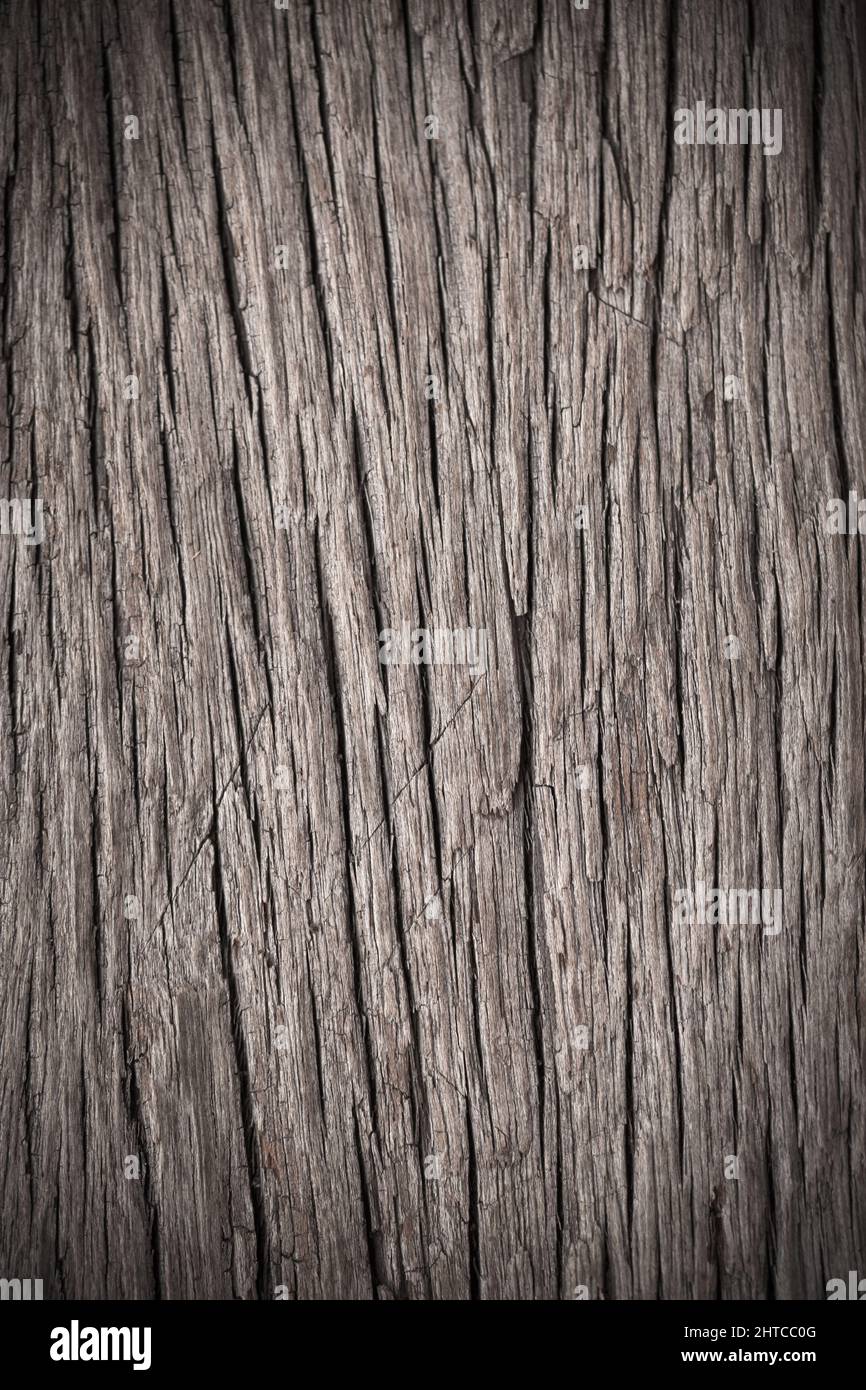 Texture of old bark wood use for natural background Stock Photo - Alamy