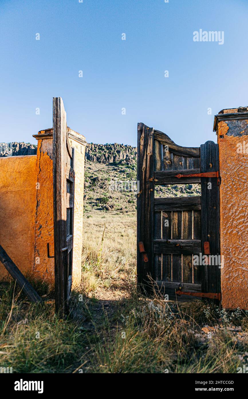 Weathered wooden gate dilapidated wall with tall grass blue sky Stock ...
