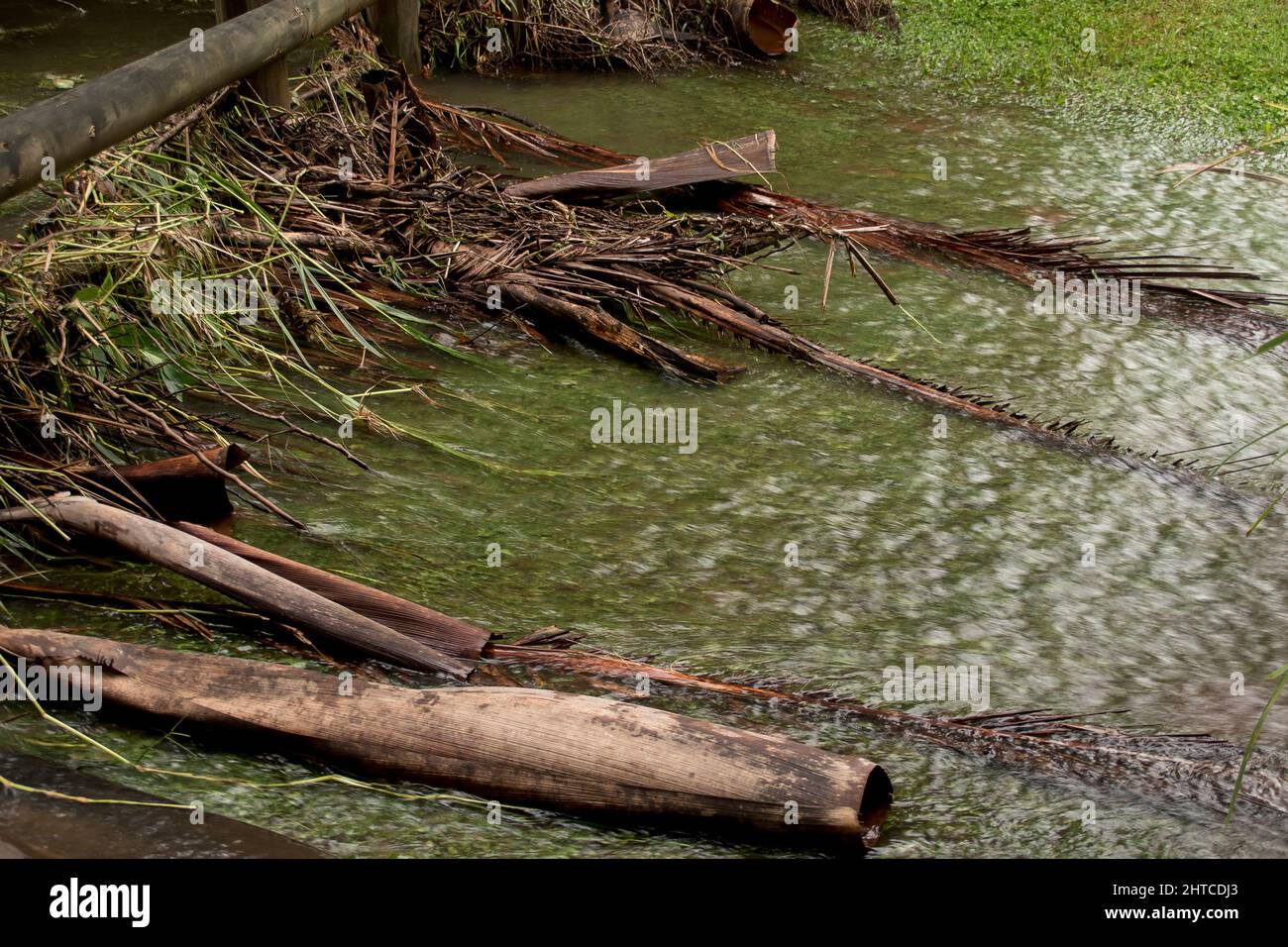 Flood water flowing over fallen palm fronds trapped around garden fence ...
