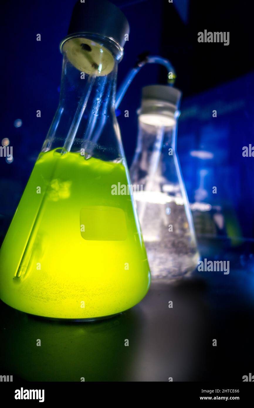 Erlenmeyer flask close up view in laboratory Stock Photo - Alamy