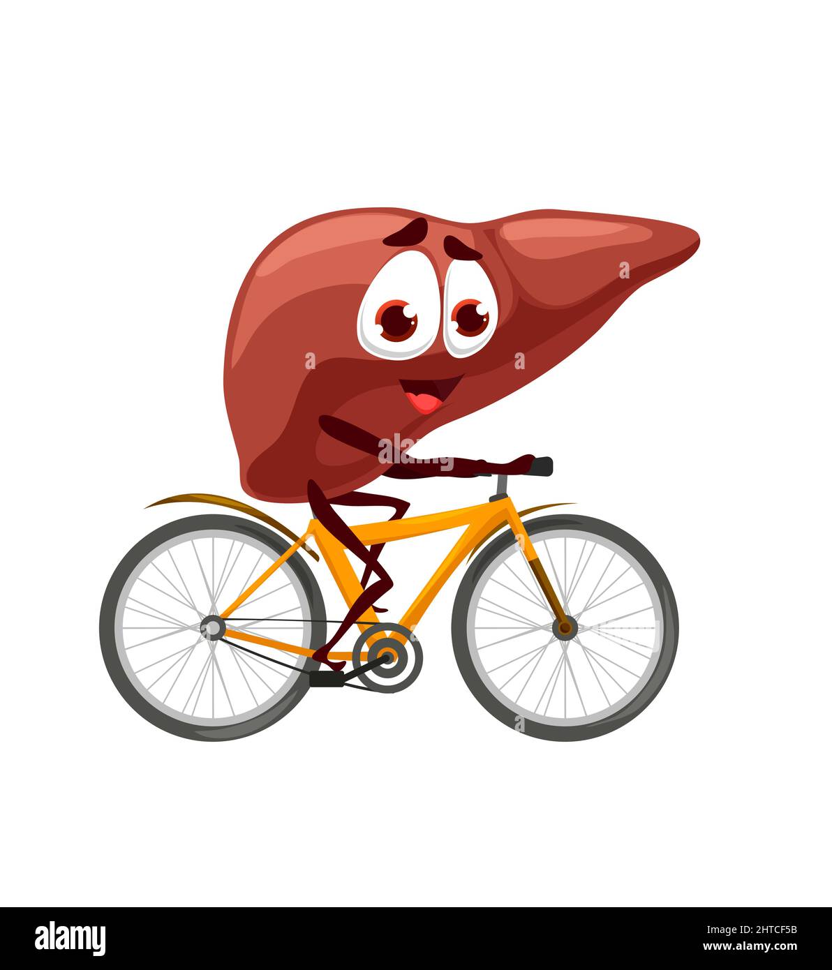 Cartoon liver character personage rides a bicycle. Vector anatomical ...