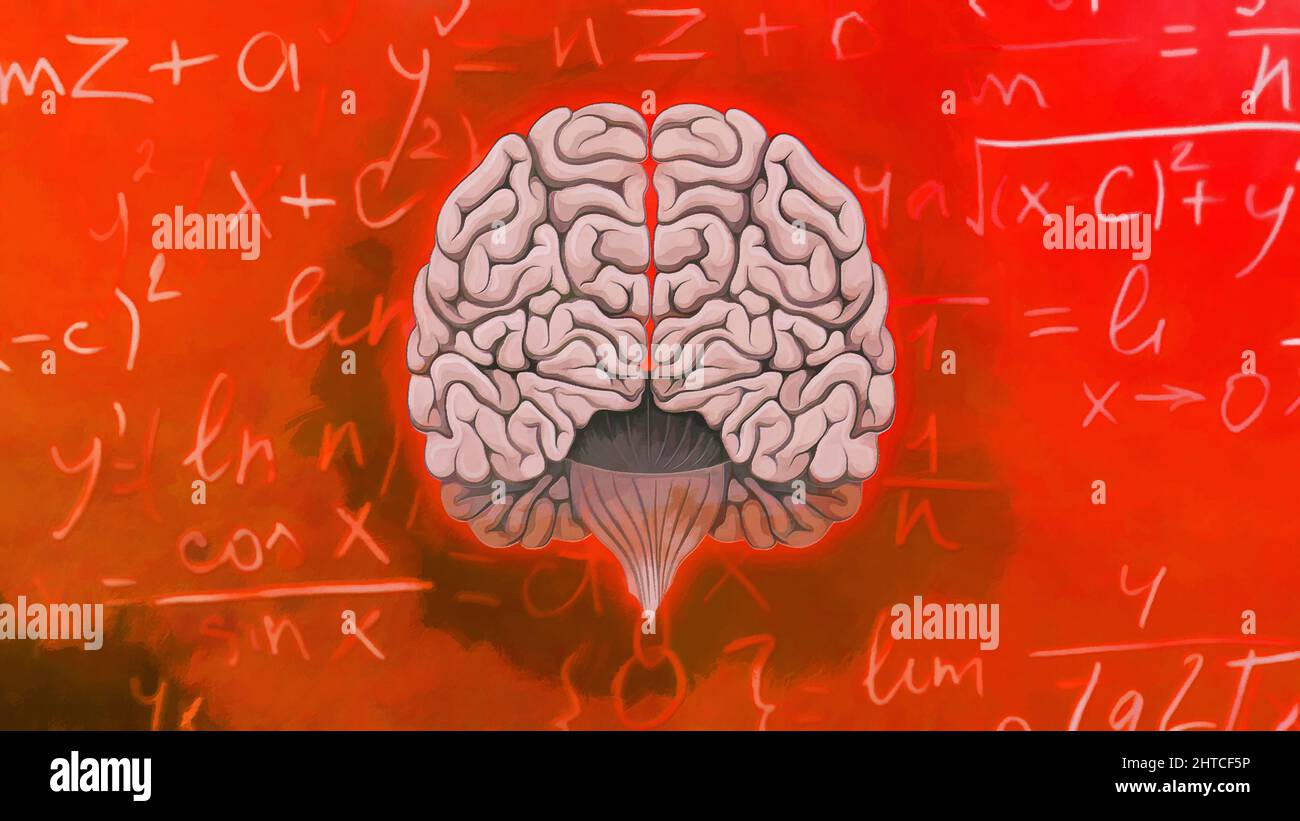 Brains on a red background, mathematical formulas, logical tasks Stock ...