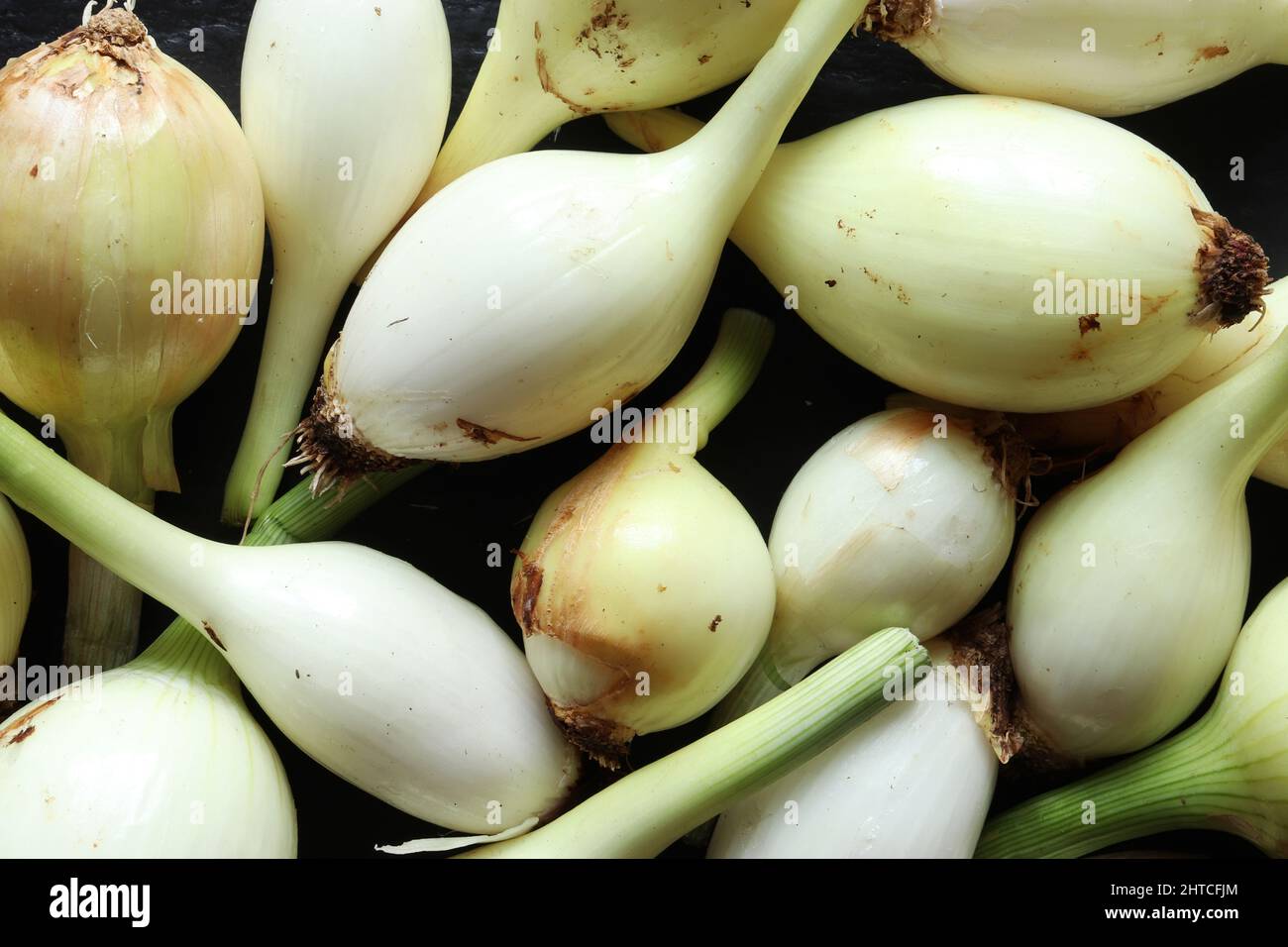 Closeup of spring onions for food background Stock Photo - Alamy