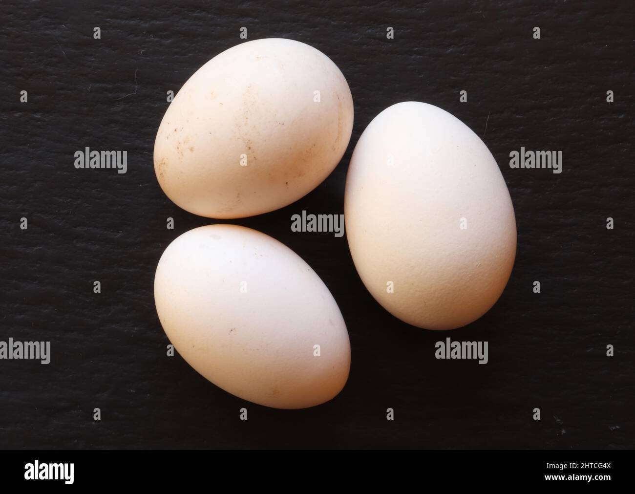 Dwarf eggs hi-res stock photography and images - Alamy