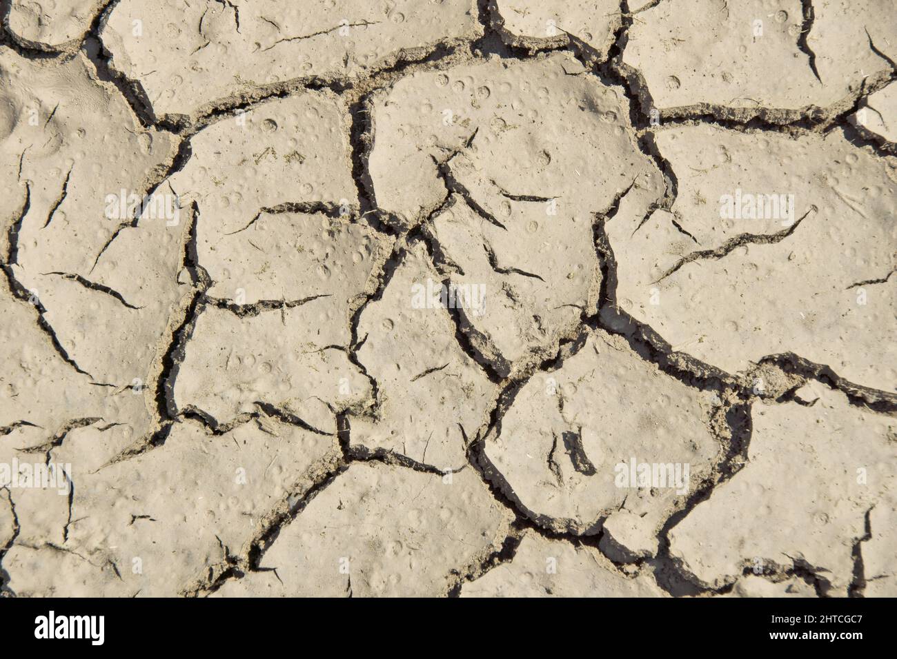 Closeup of a loamy ground Stock Photo - Alamy