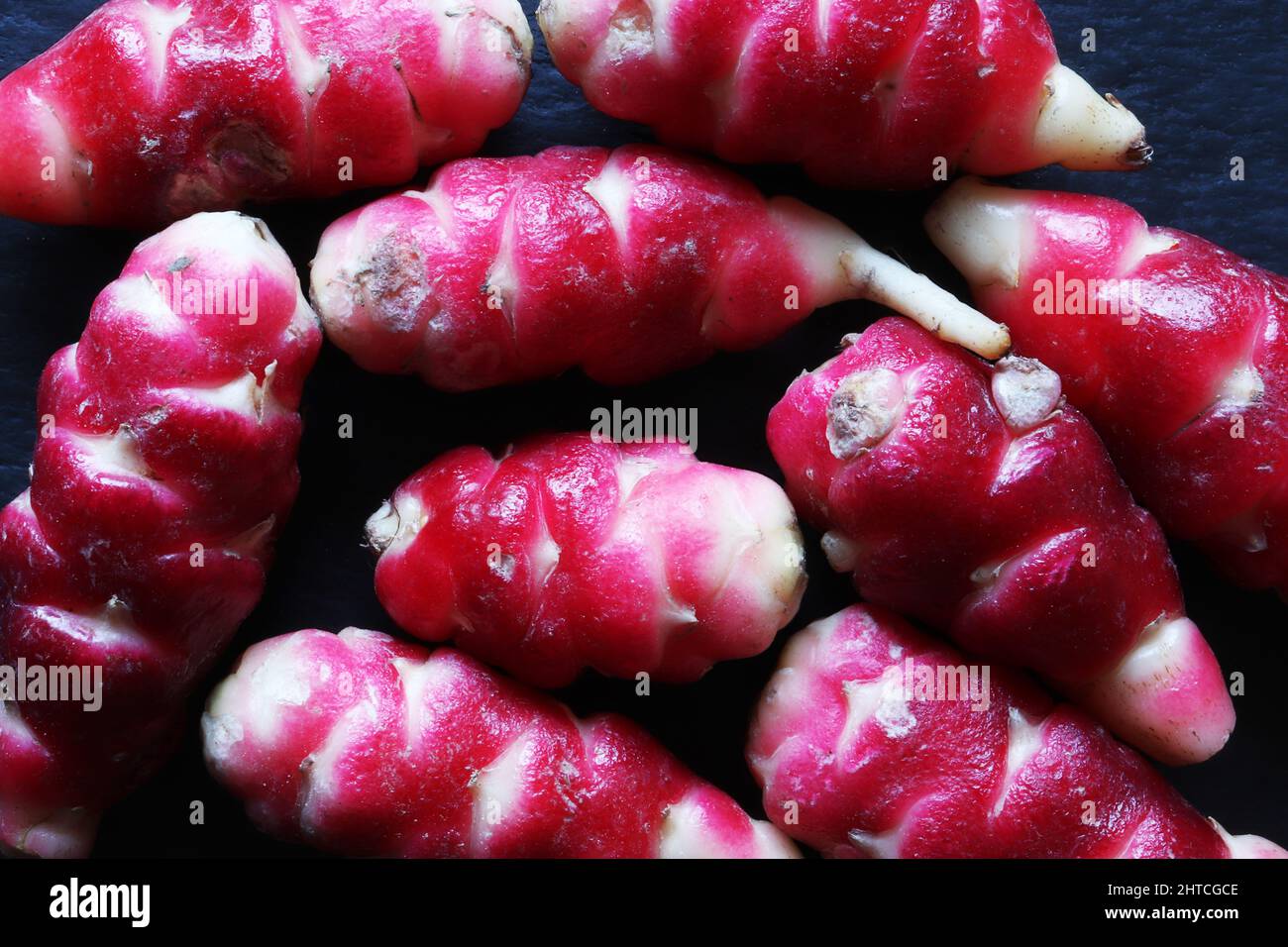 New Zealand yam is a food used in the Andes on isolated background ...