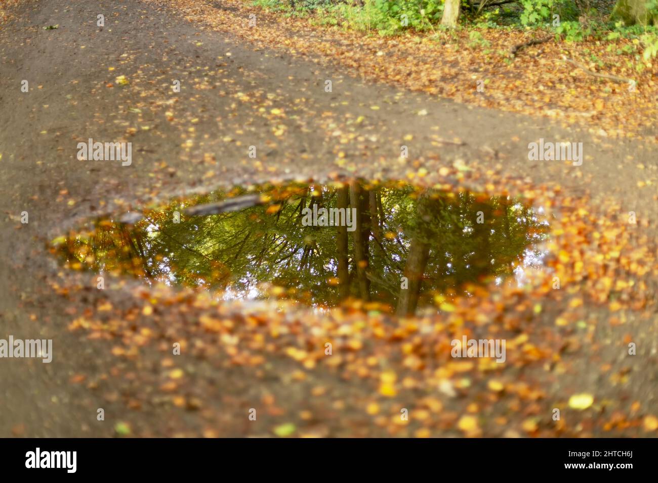 Little puddle in the middle of the street in autumn Stock Photo - Alamy