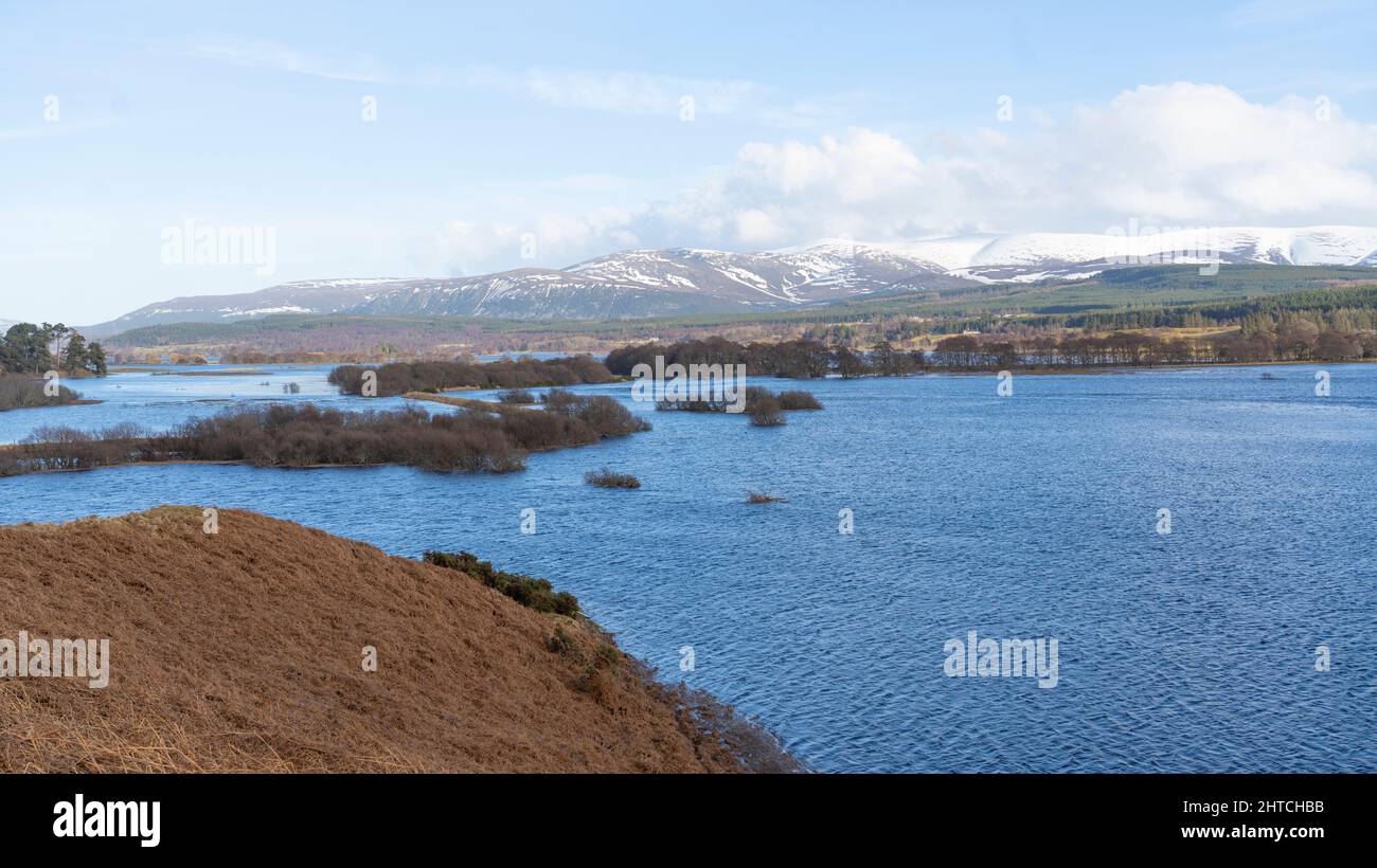 View of Insh Marshes, Scotland, in flood Stock Photo - Alamy
