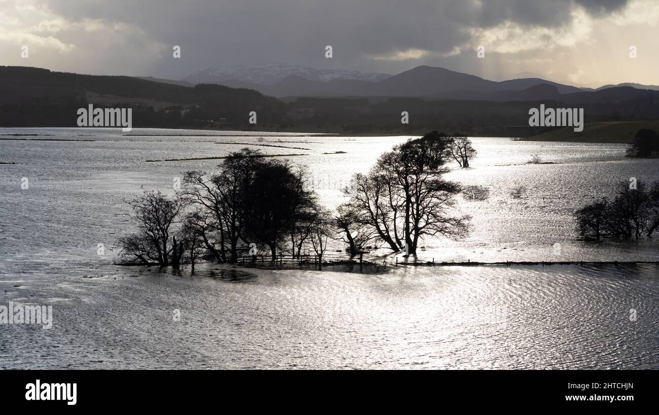 Insh marshes national nature reserve hi-res stock photography and ...