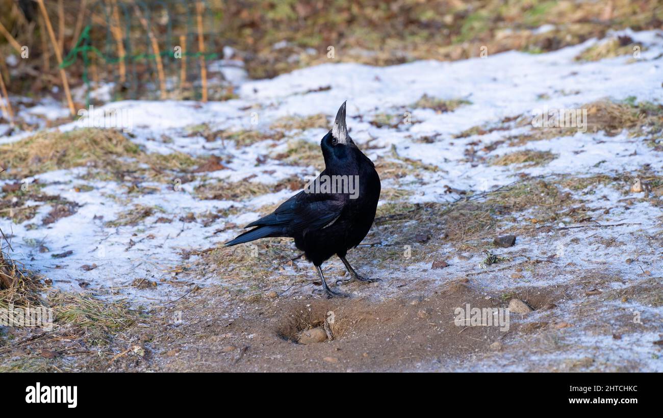 Perceptive hi-res stock photography and images - Alamy