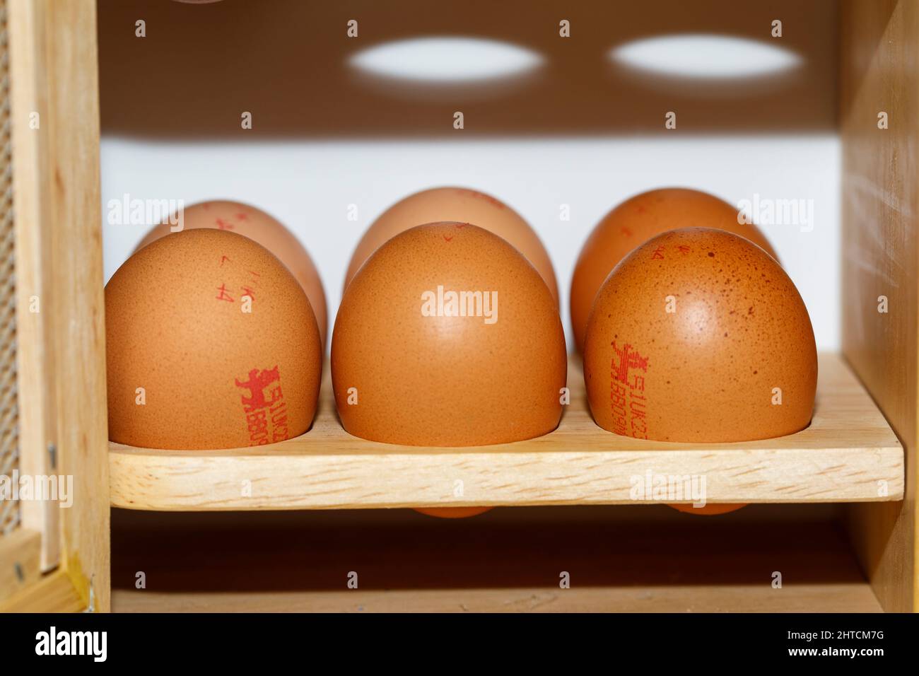 Fresh eggs stored in a wooden container Stock Photo - Alamy