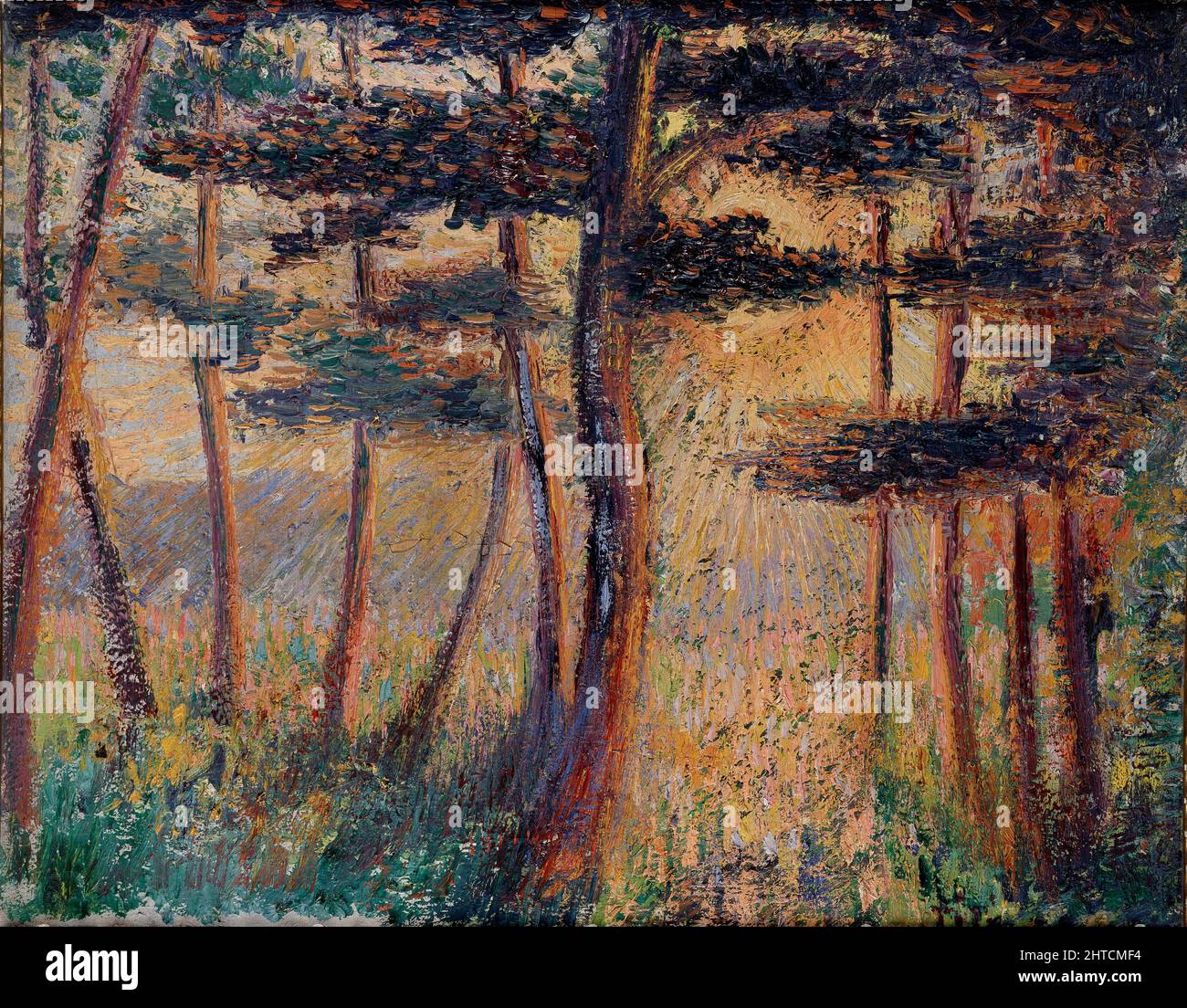 Sunset through Trees, c. 1882 Stock Photo - Alamy